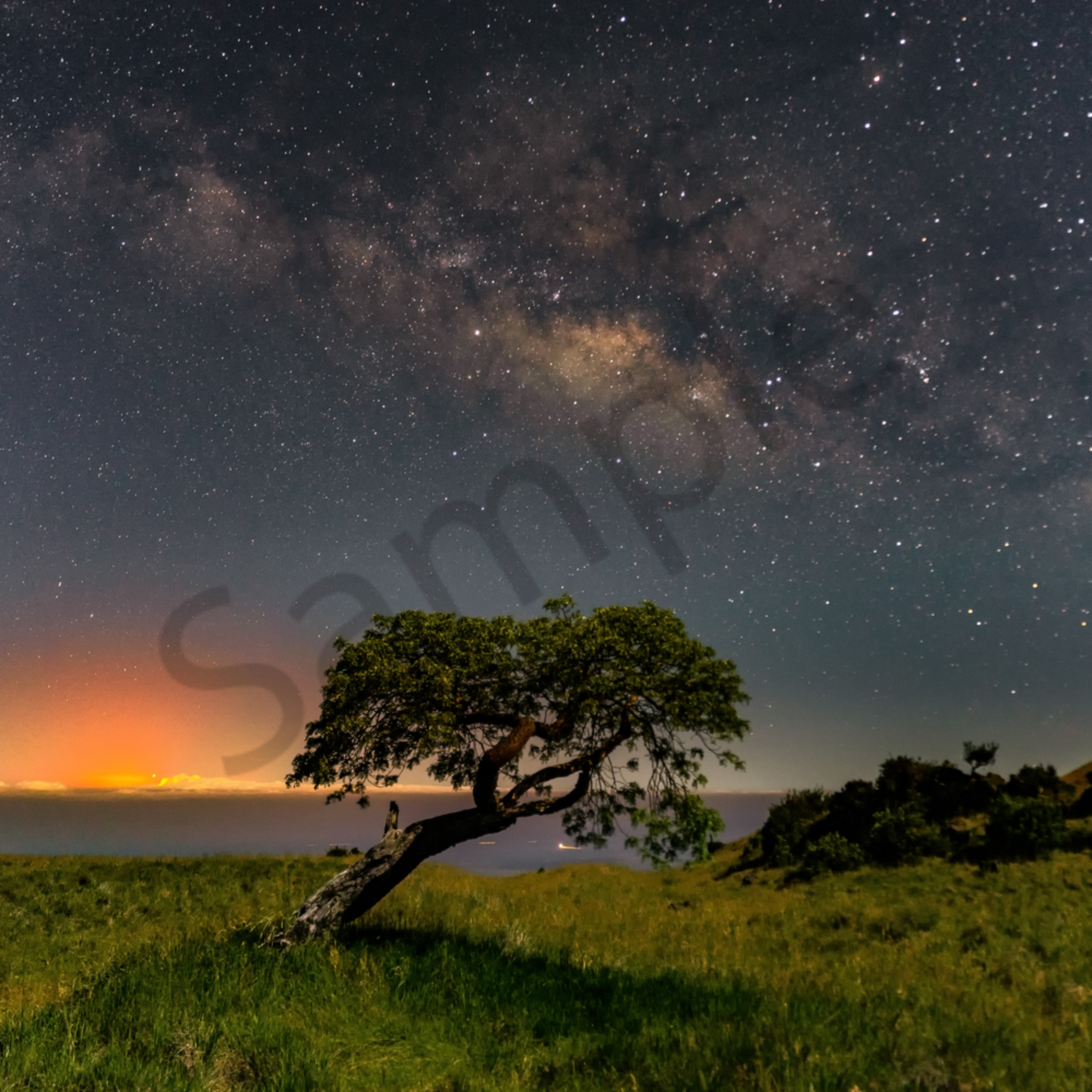 Hawaii Lava Photography | Mauna Kea Tree View of the Eruption by Peter Tang