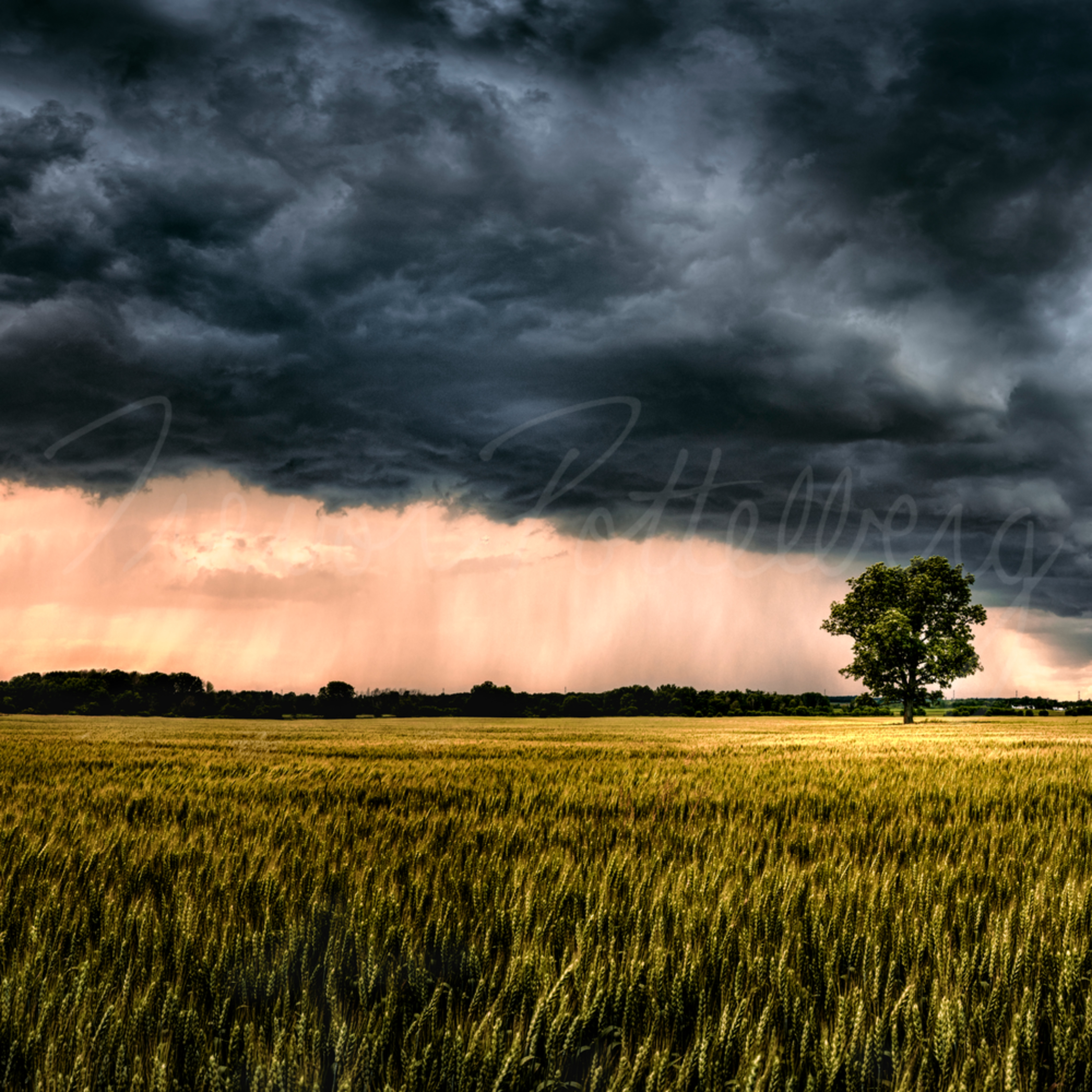 Ominous In Nature Photography Art | Trevor Pottelberg Photography