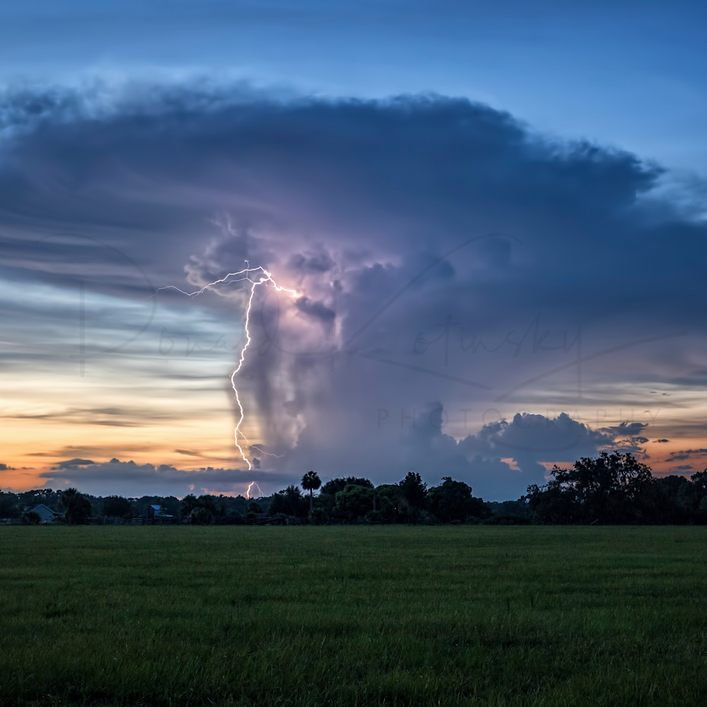 The Face of a Storm Photograph