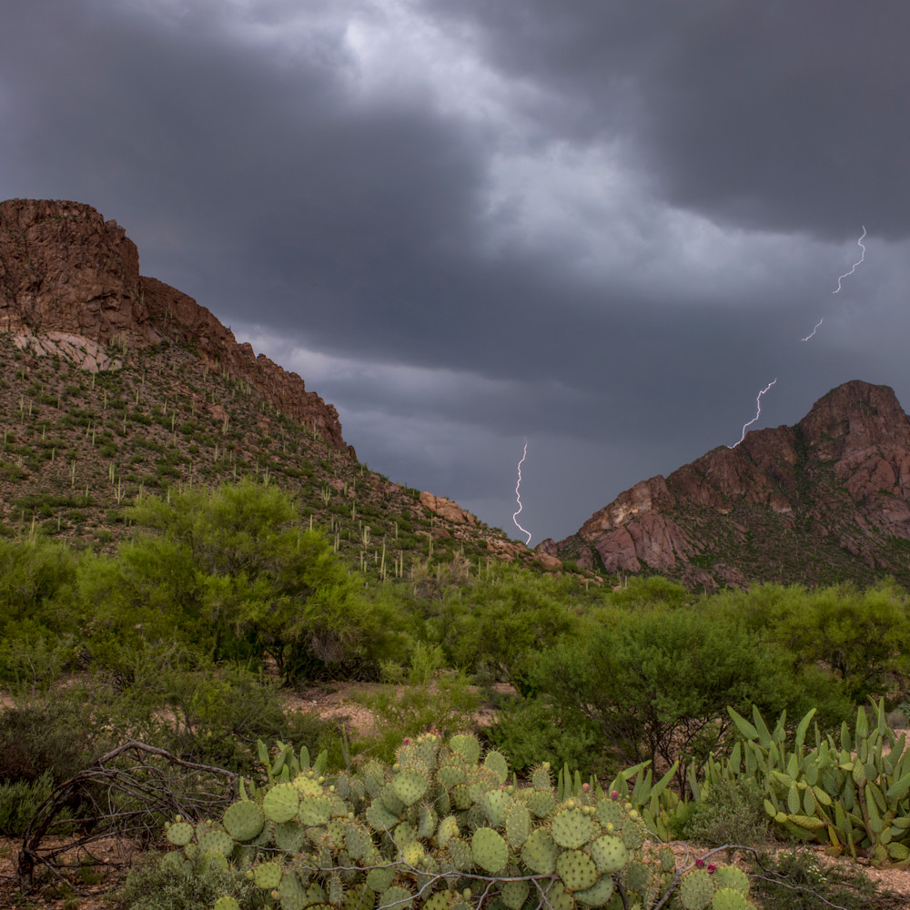 Double Strike Cat Mountian