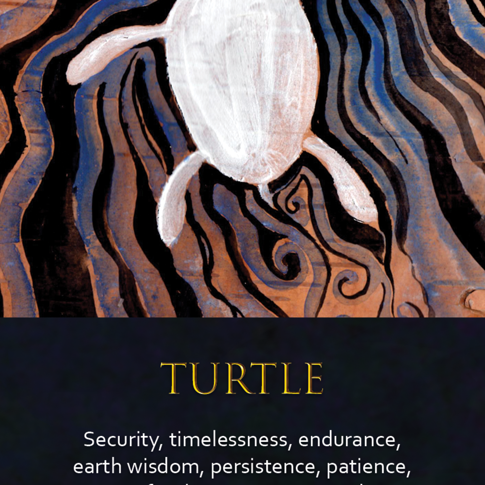 Turtle Spirit Animal Oracle Print Art | Bright Spirit Studio
