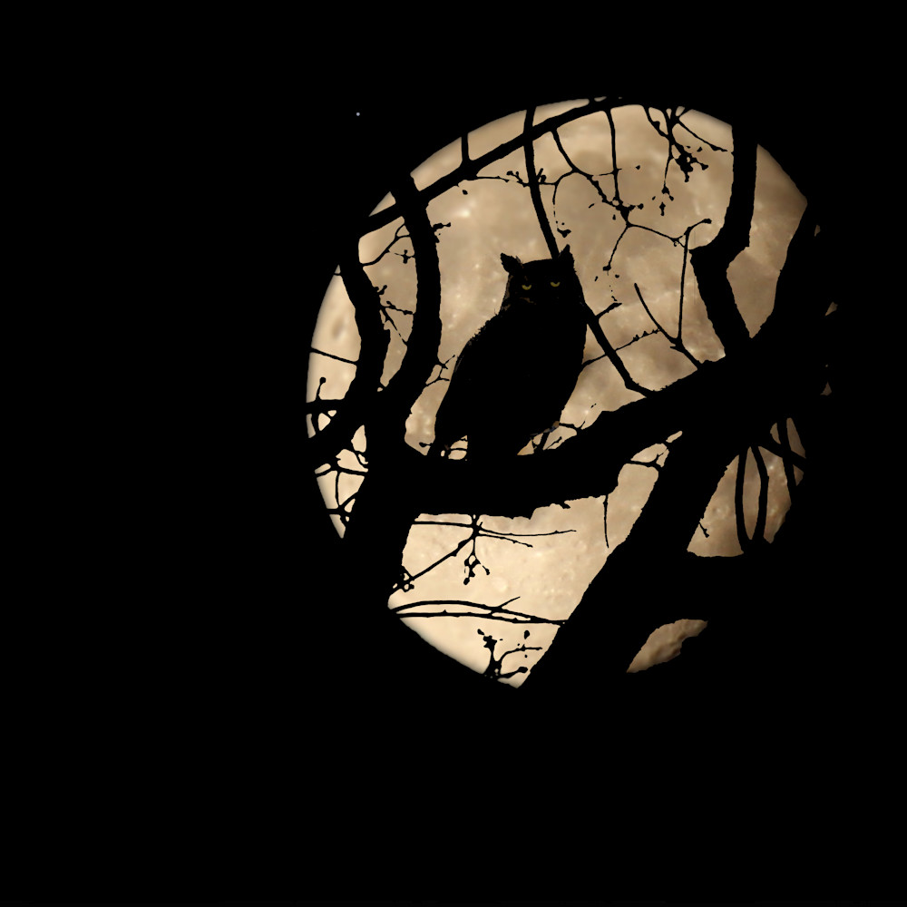 Whooo are you? In Texas