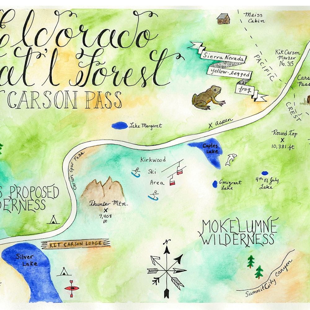 Eldorado National Forest - Carson Pass