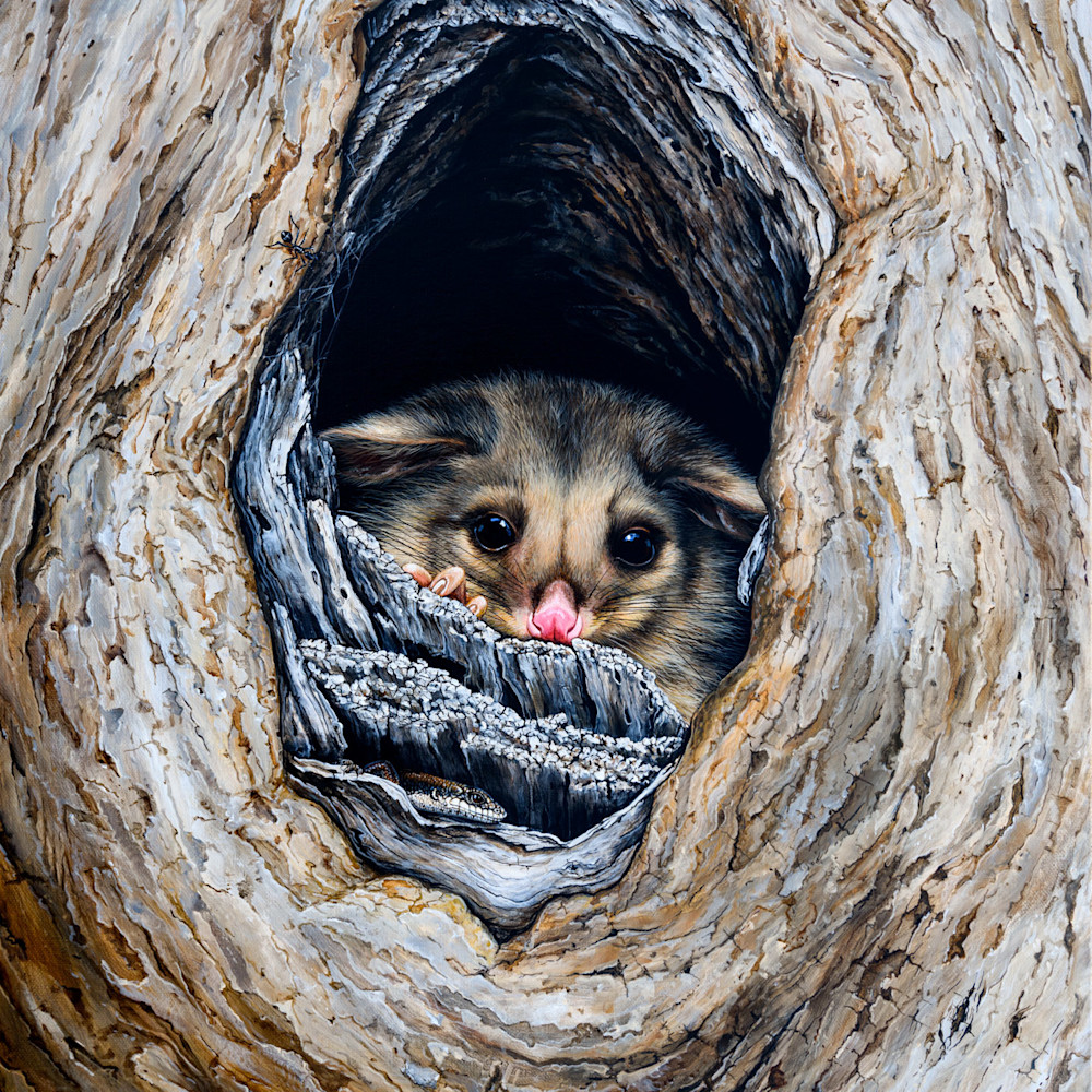 Refuge - Common Brushtail Possum & Tree Skink