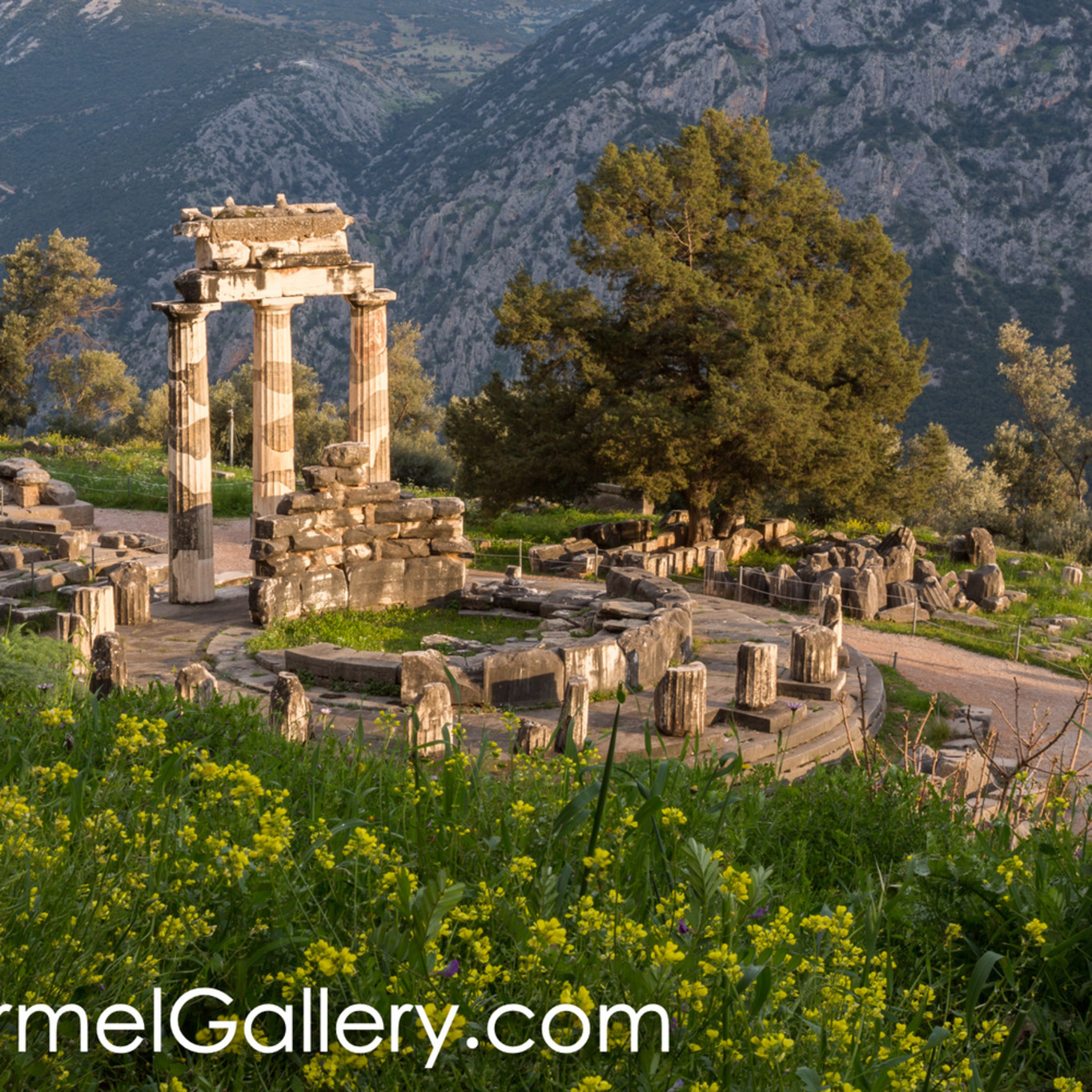 Oracle at Delphi