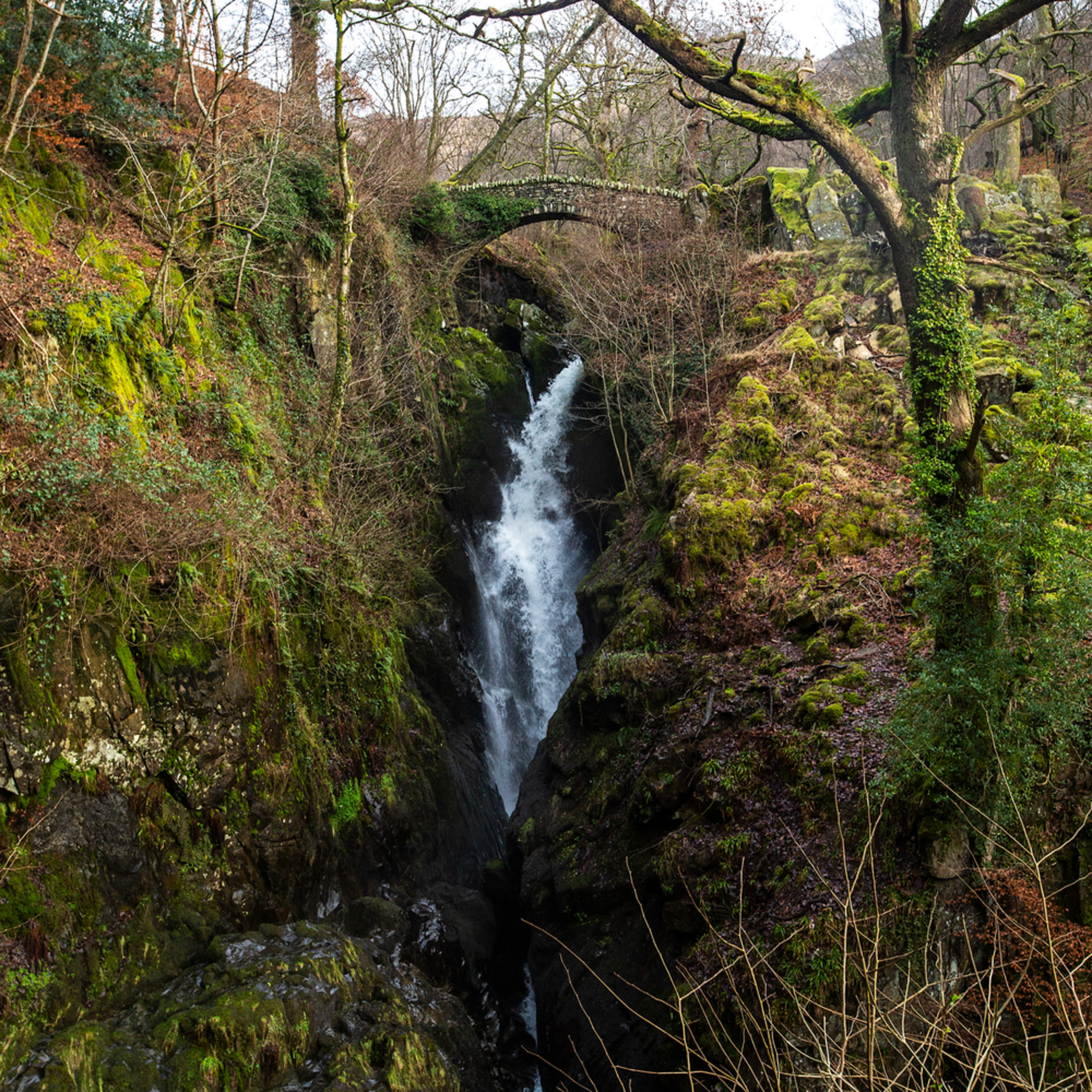 Aira Force Waterfall Photograph For Sale As Fine Art