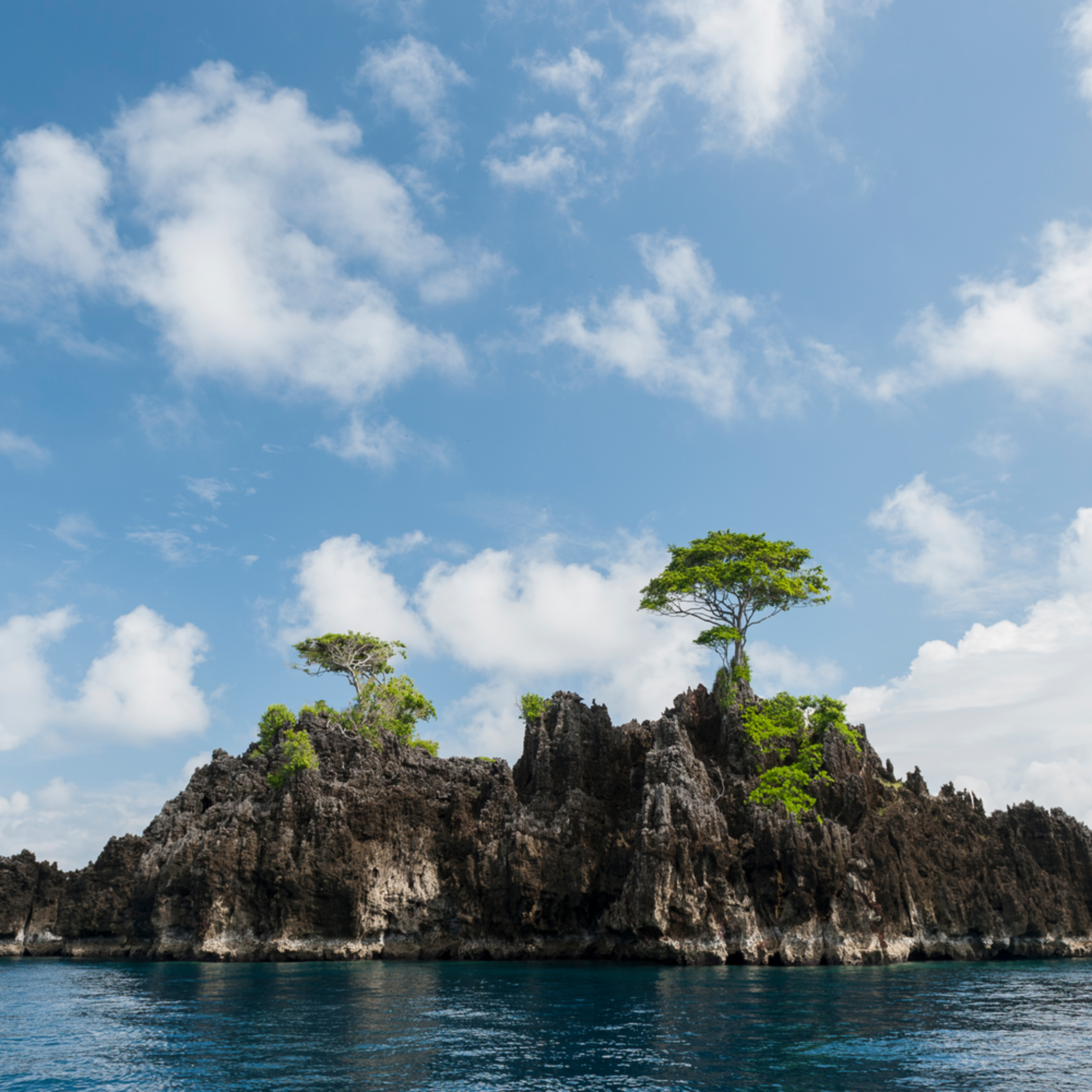 Two Tree Island, Raja Ampat, Indonesia
