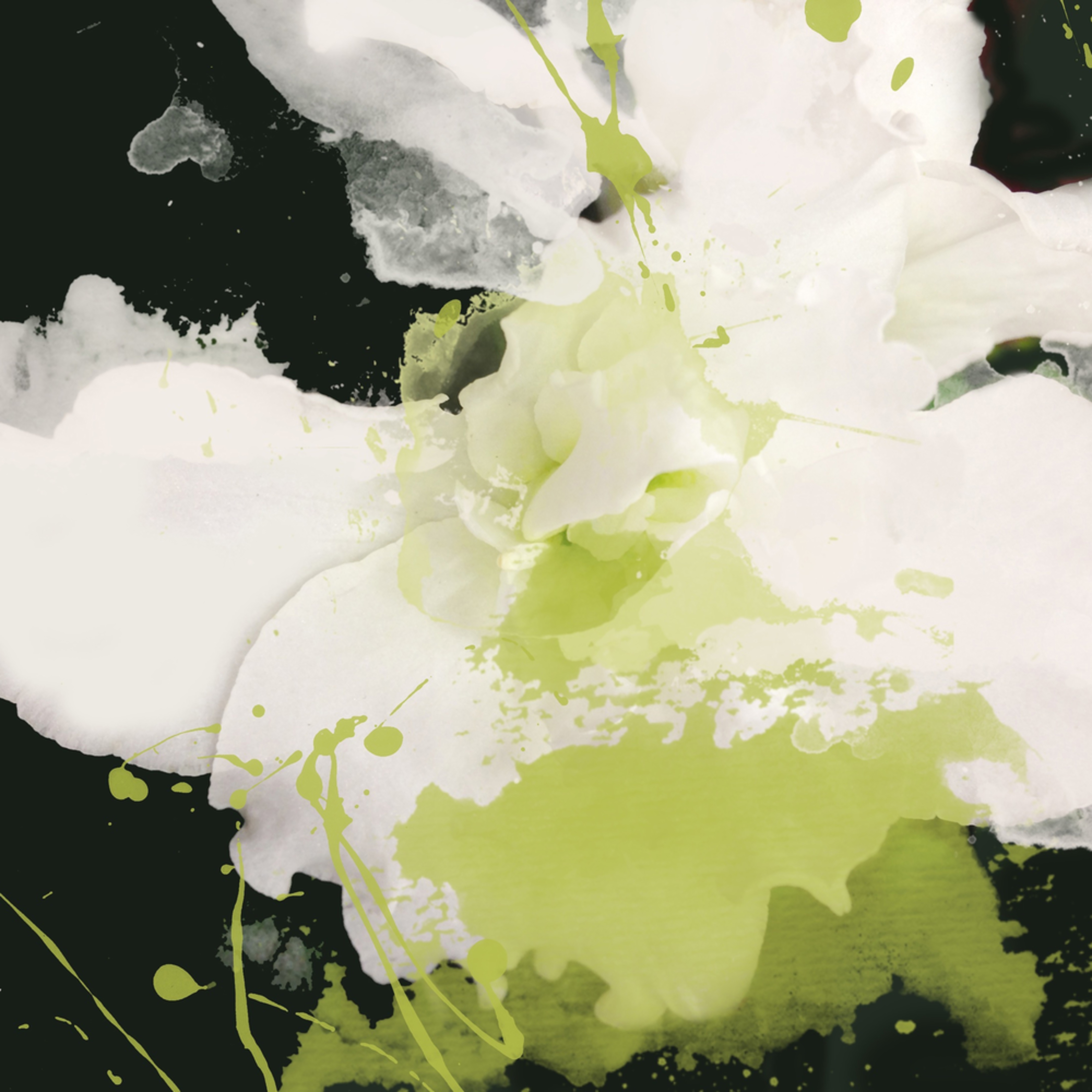 Serene Green, White Green Flower Art
