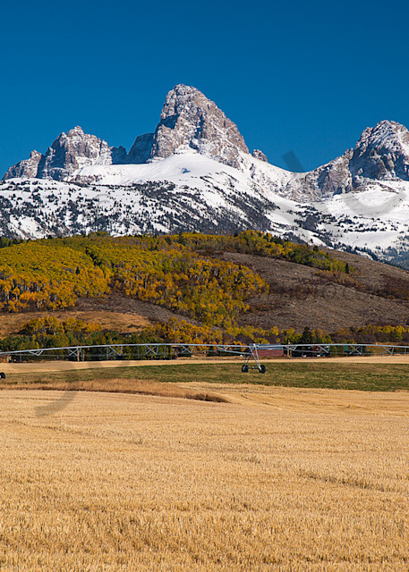 Idaho Farmland 7403 Photography Art | Swan Valley Photo