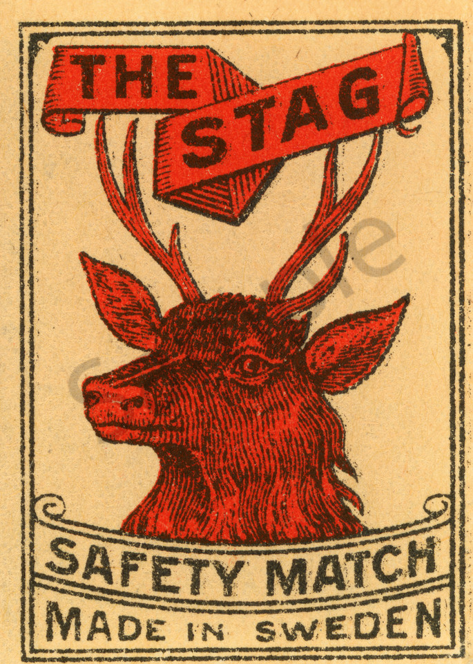 Stag