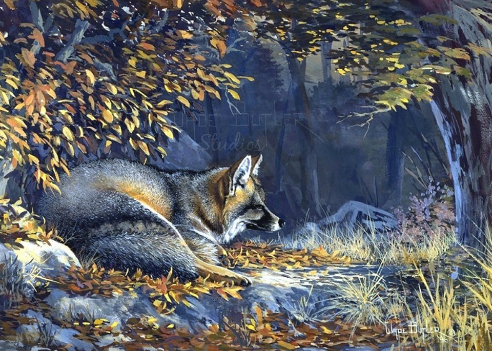 Grey Fox Art | Wade Butler Studios