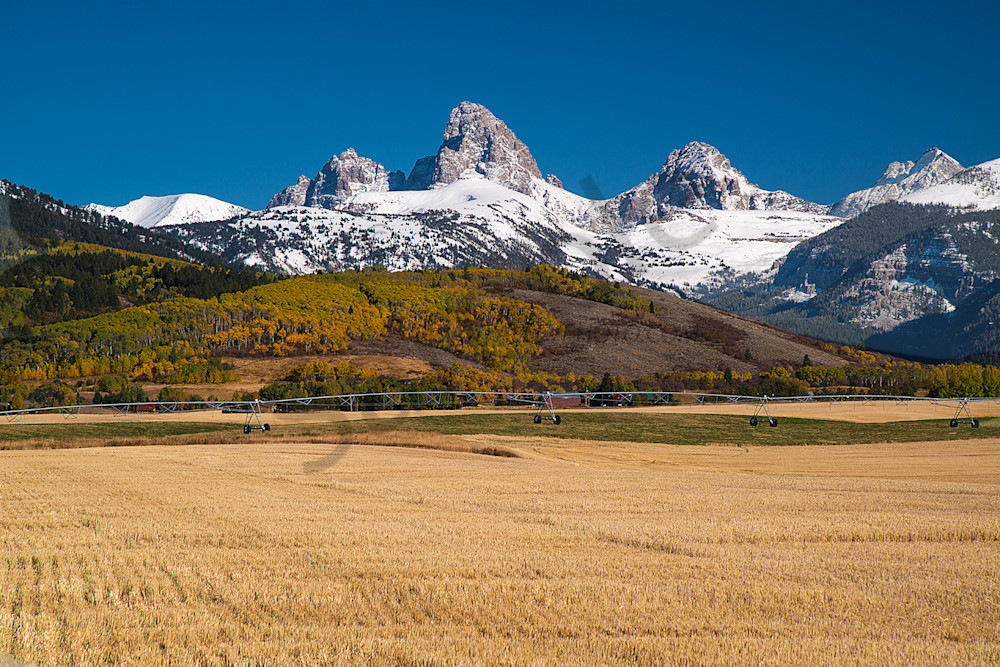 Idaho Farmland 7403 Photography Art | Swan Valley Photo