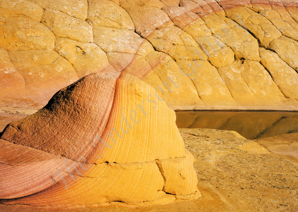 Paleozoic Patterns The Rock Photography Art | theandersongallery