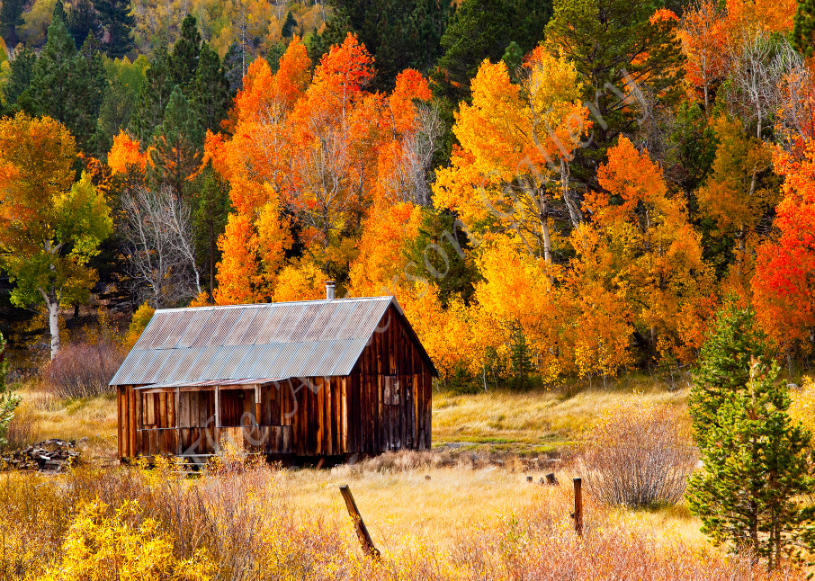 Autumn Cabin Photography Art | theandersongallery