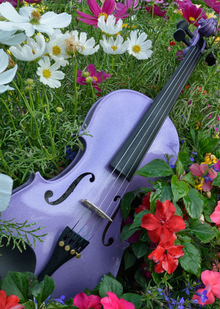 Violet Violin Art | Instrumental Art