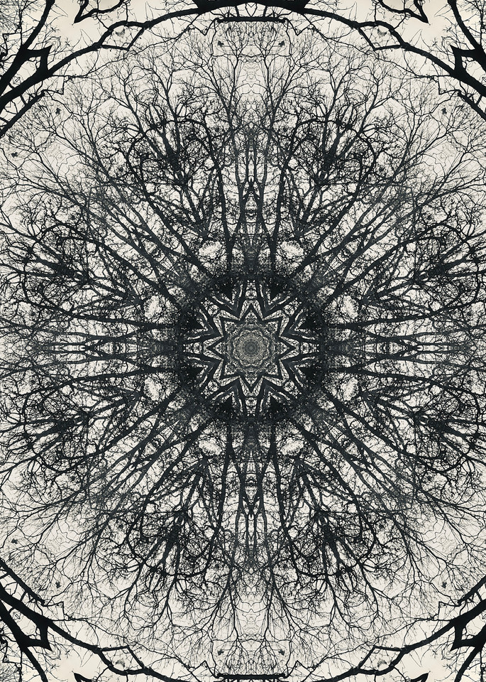 Forest Mandala Art | SkotoArt