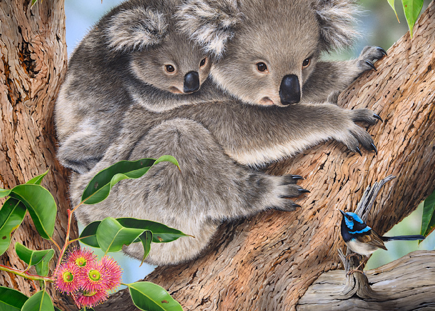 Visiting the Neighbours - Koala with her joey and a male Superb Fairy-wren