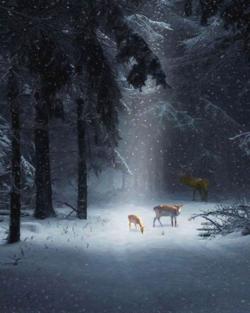A Woodland Christmas Eve Art | Russ Cannizzaro Fine Arts