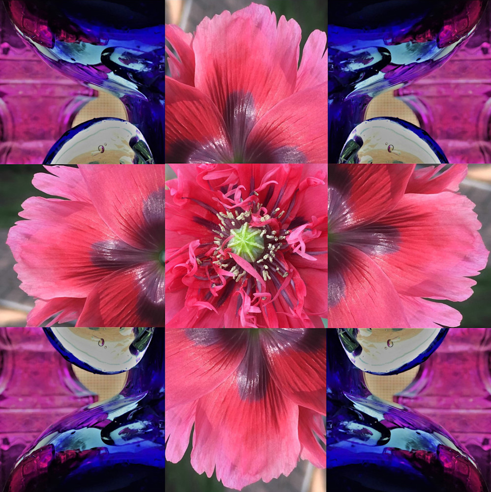 Flower Square 3 Art | LuminaSpectra Art