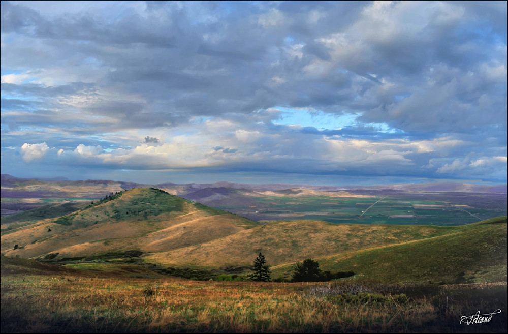 Bison Range Montana Photography Art | Fred Reaves Fine Art Images