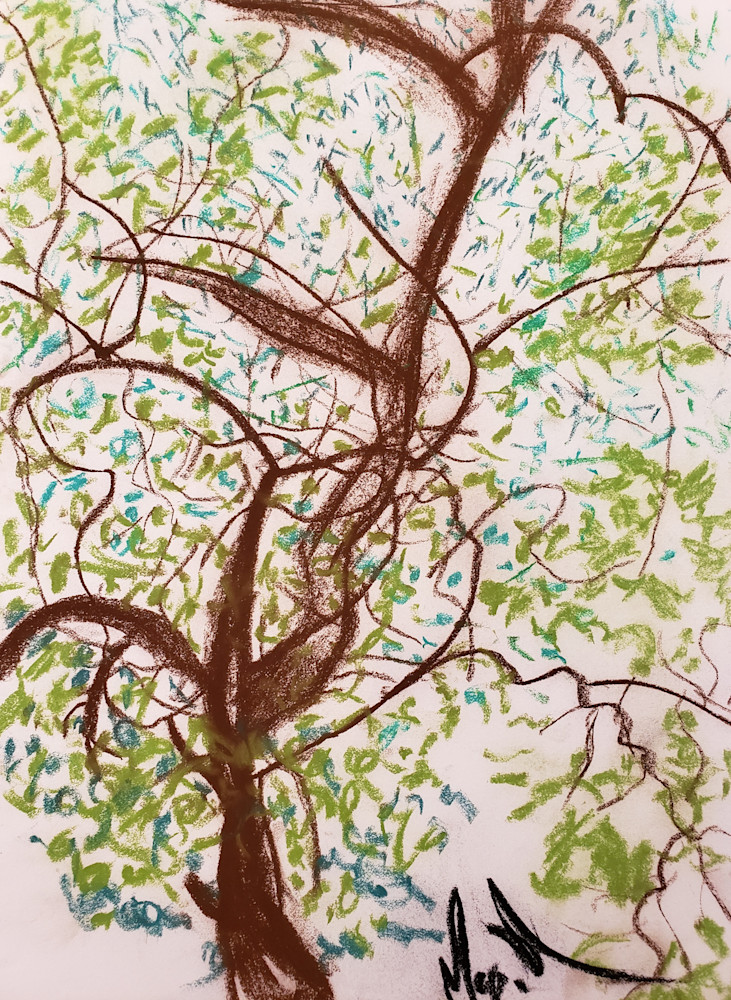 Tree In Maine Art | Mariah Michaud