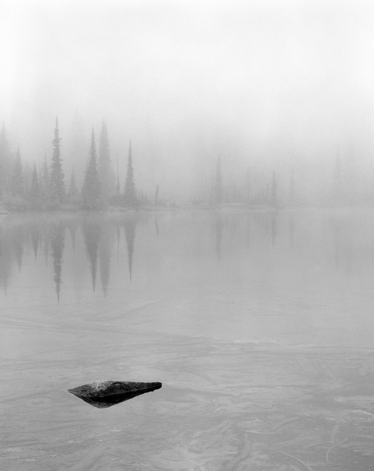 Fog shrouded Louise Lake in Mt. Rainier National Park, Washington