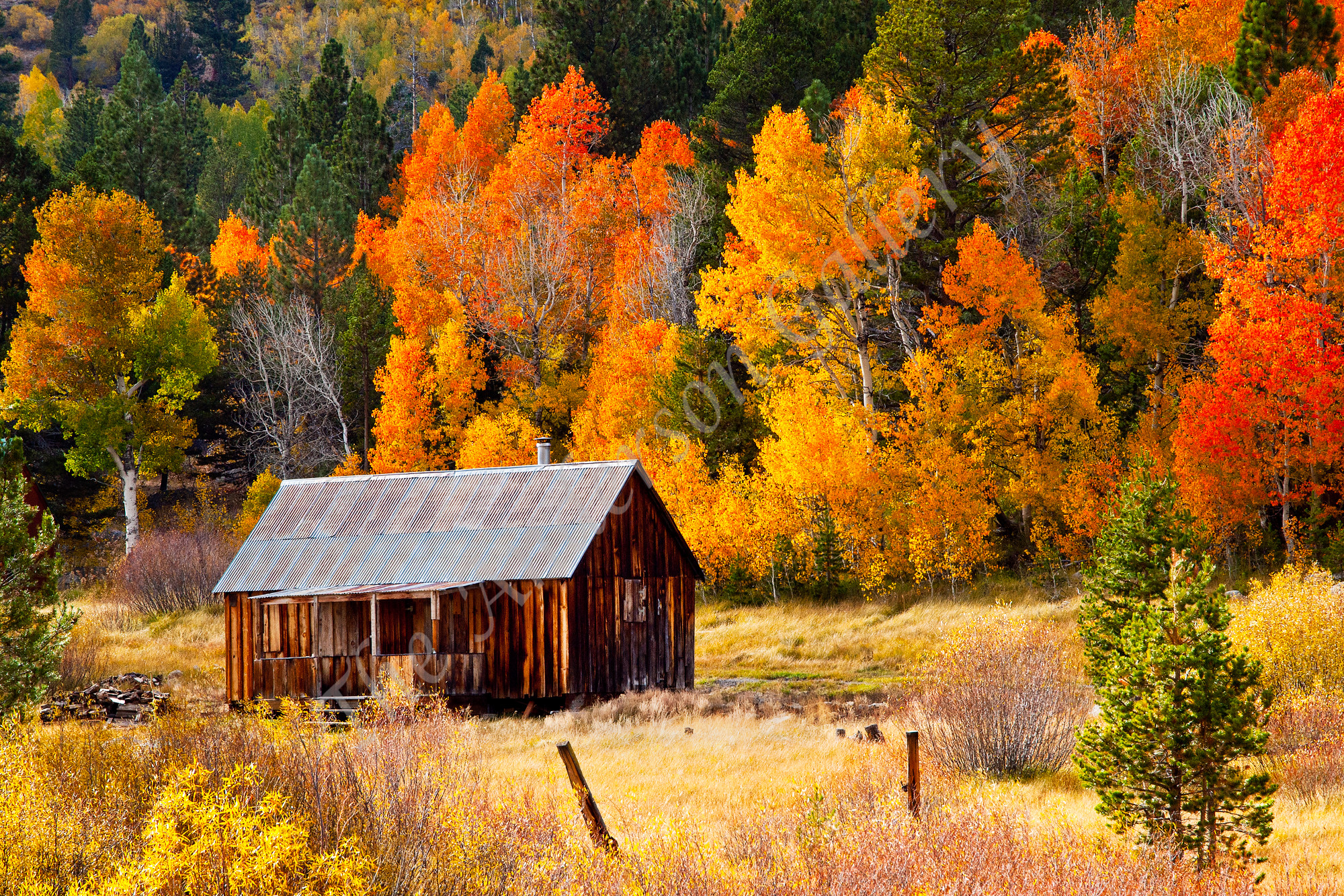Autumn Cabin Photography Art | theandersongallery