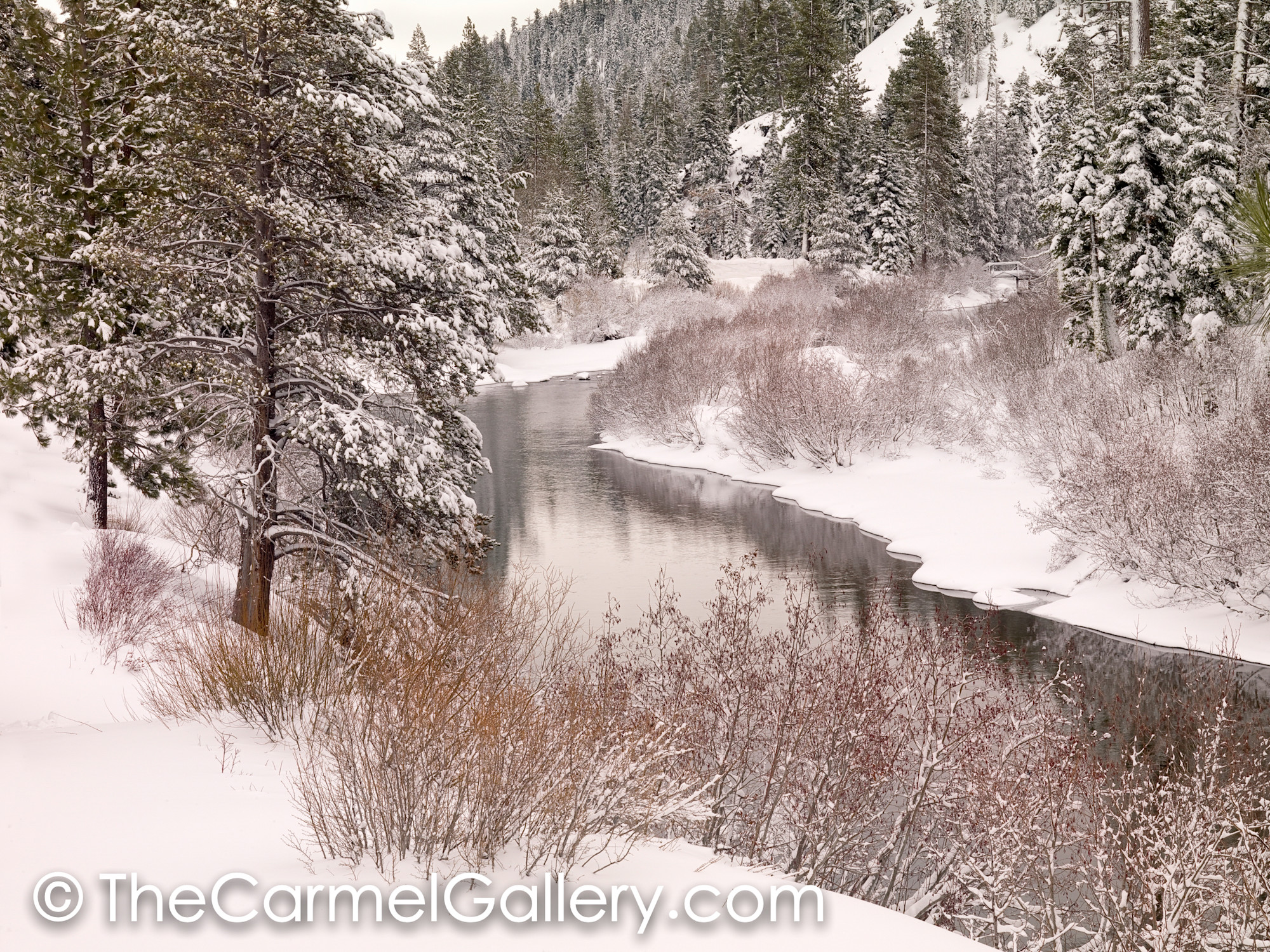 Winter Palette, Truckee River