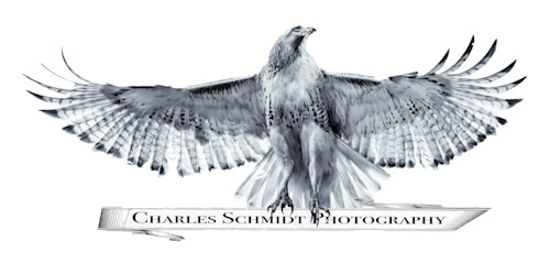 About The Artist | Charles Schmidt