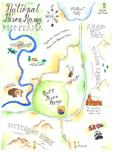 bison original range