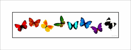 butterfly chart work