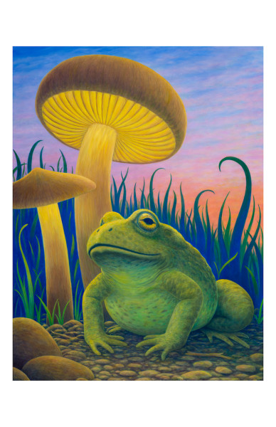 Magic Toad 11x17 Inch Ecoprint | markhensonart