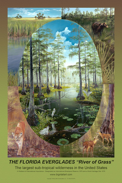The everglades poster Art | Anthony Marx & Associates, LLC d/b/a ...