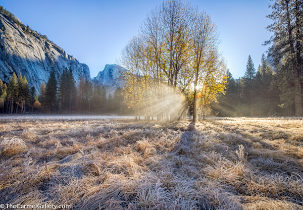 Yosemite art Art | The Carmel Gallery