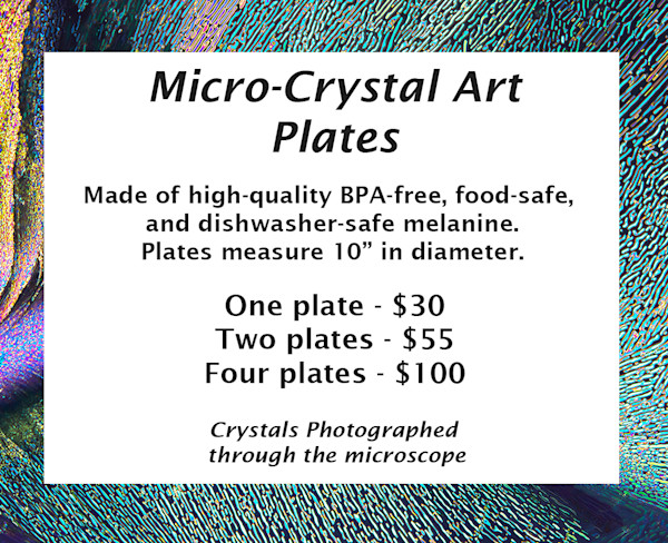 Micro-crystal plates Art | Carol Roullard Art