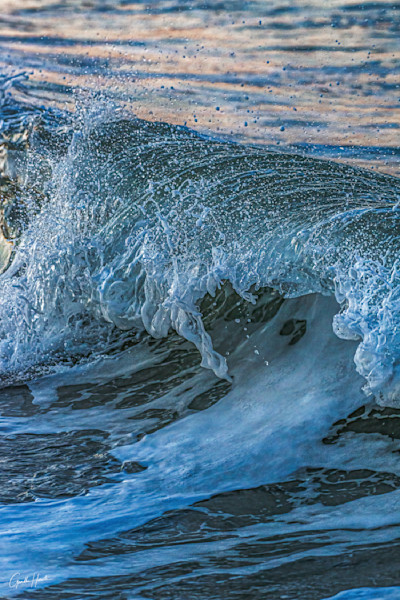 Dsc 9651 Photography Art | Gandhi Hurwitz Photography