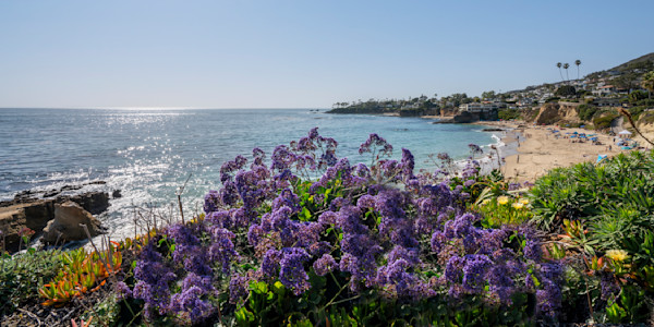 lavender beach