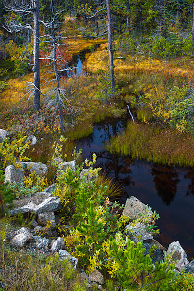 Photography Photography Art | Kent Gordon Fine Art