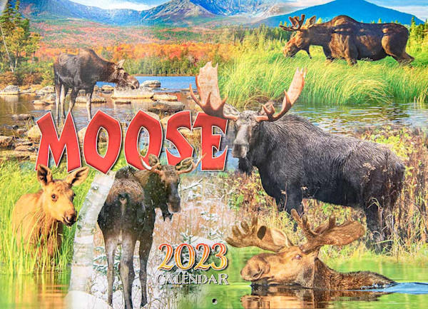 Moose Wall Calendar