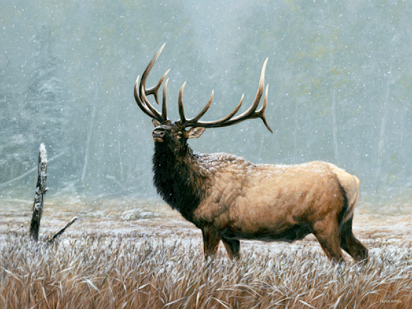 Shop Art | Peter Eades Art