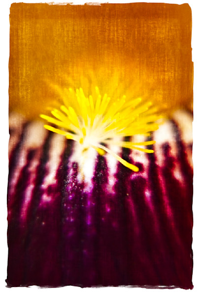 Abstract Impressions Photography Art Majed Fine Art Photography