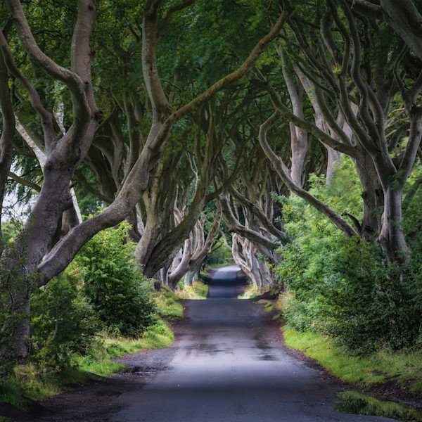 Shop Photography Art | Ragnar Avery Photography