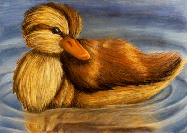 Original art Art | Kelly Nixon Art