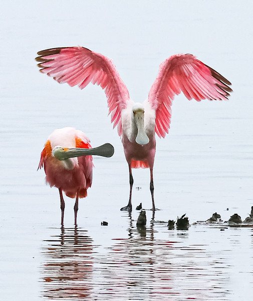 Different Viewpoints Photography Art | Mary Goldsmith Photography