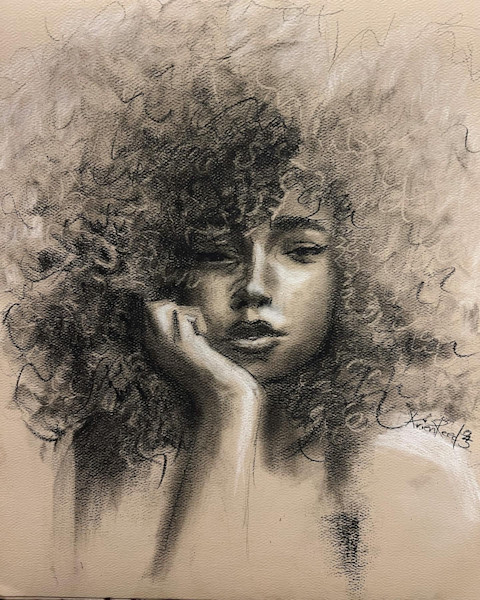 Trans Drawings by Arien Reed