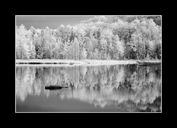 Black & white / ir Photography Art | Virtual Images Photography, LLC