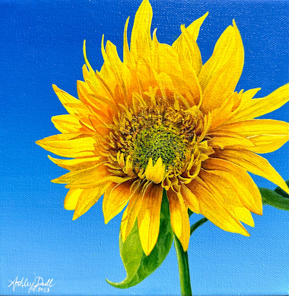 Sunburst Art | Art by Ashley Dull