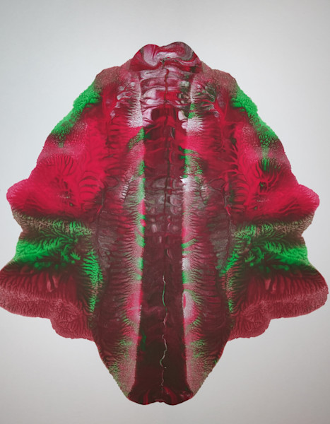 Prints & Merchandise