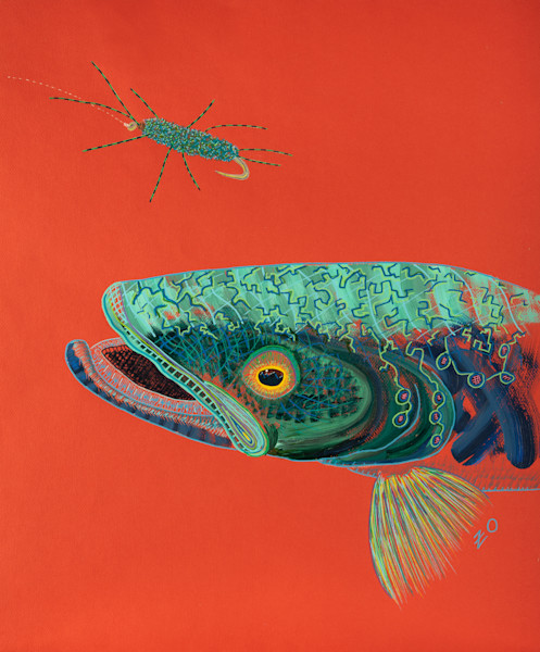 Freshwater fish Art | Zach Otte Art