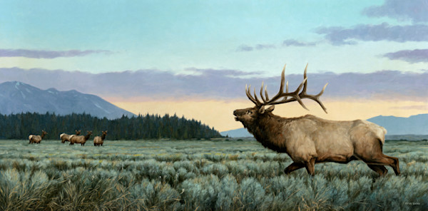 Shop Art | Peter Eades Art